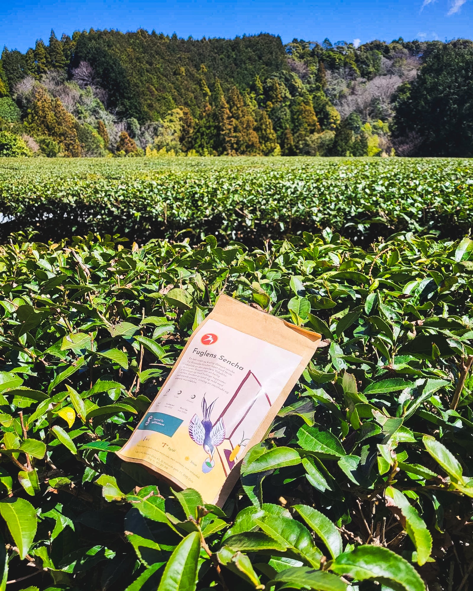 Fuglen Coffee Roasters Oslo